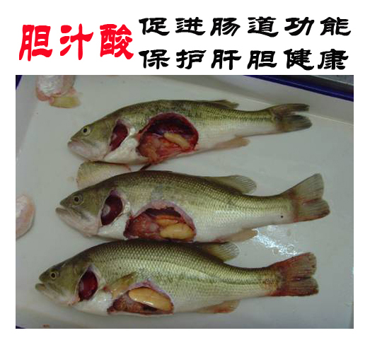 Etiology of Fish and Gallbladder Syndrome - LACHANCE Bile Acids feed ...