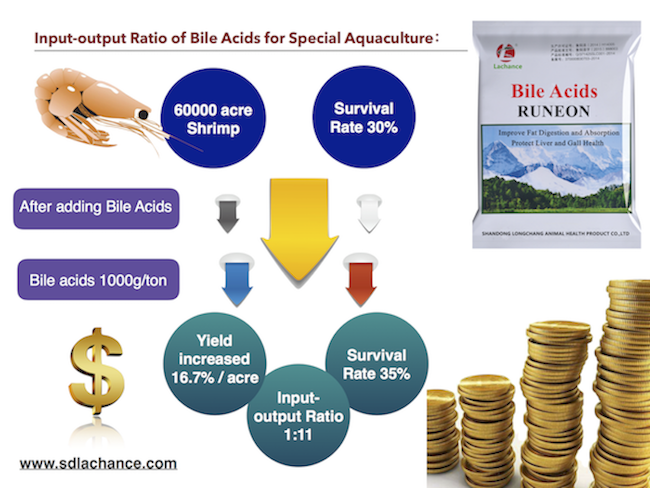 Input-output Ratio of Bile Acids for Special Aquaculture - Input-output ...