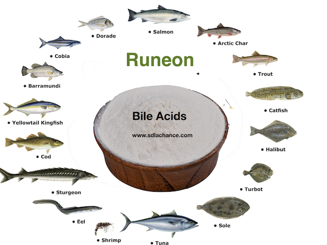 Input-output Ratio of Bile Acids for Special Aquaculture - Input-output ...